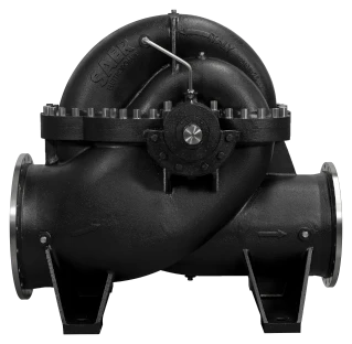 SKD 中开泵 - SAER 赛尔水泵 | 富纳通 FULLYDO